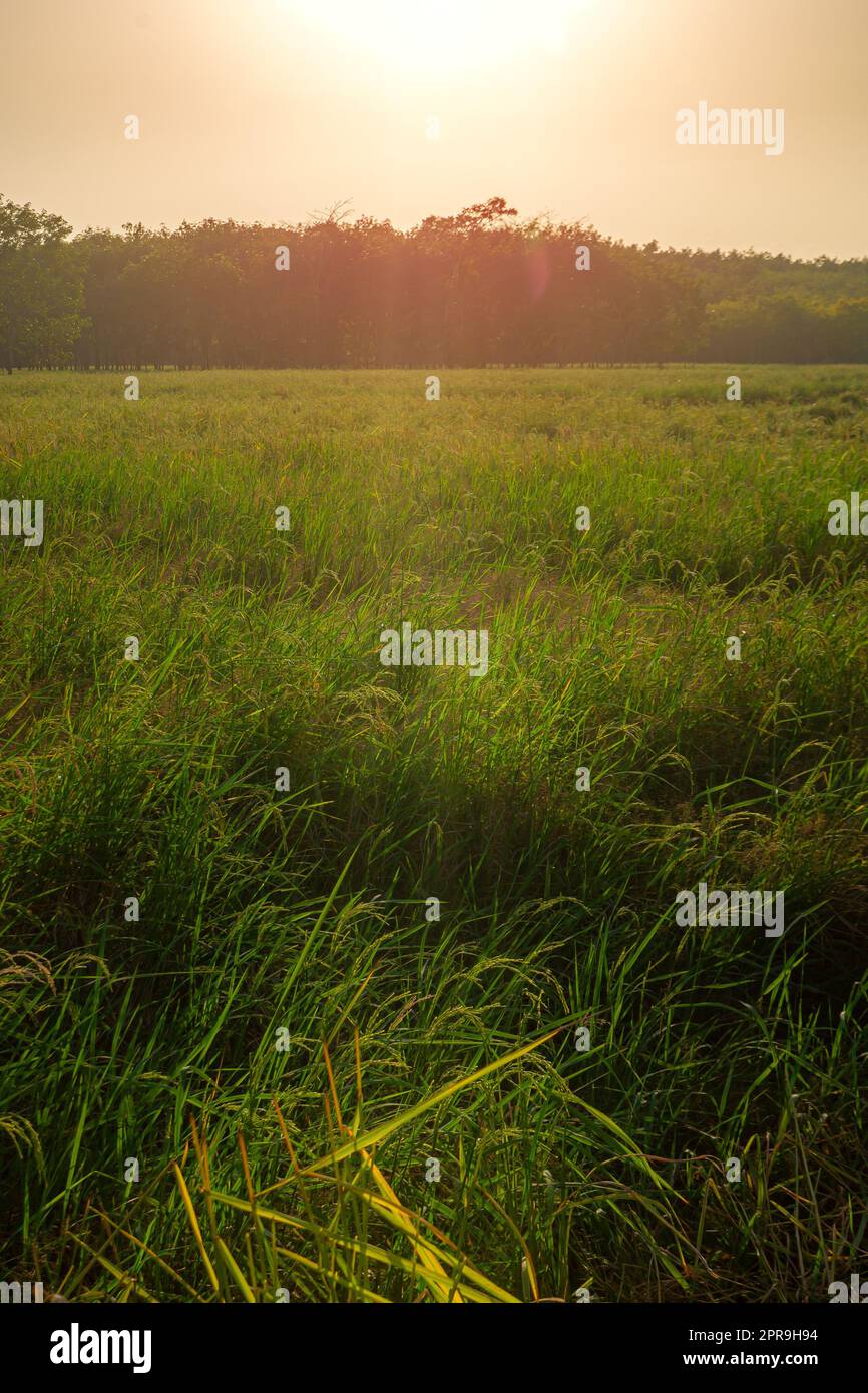 Time lapse rural farming landscape hi-res stock photography and images ...