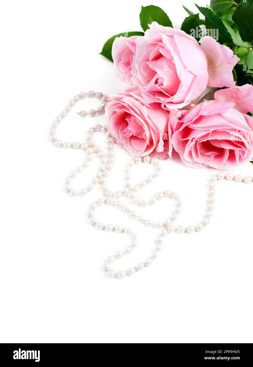 Beautiful White Roses With Pearls