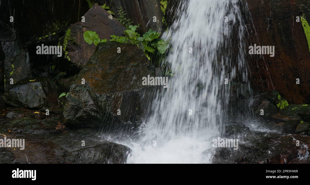 Beautiful waterfall in rain forest Stock Photo - Alamy