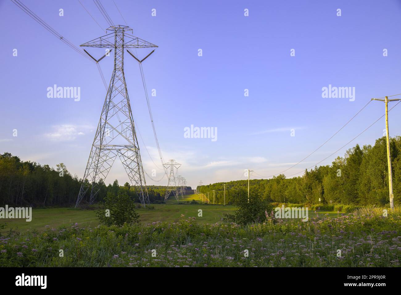 electric pillars electricity power line high voltage distribution pylon ...