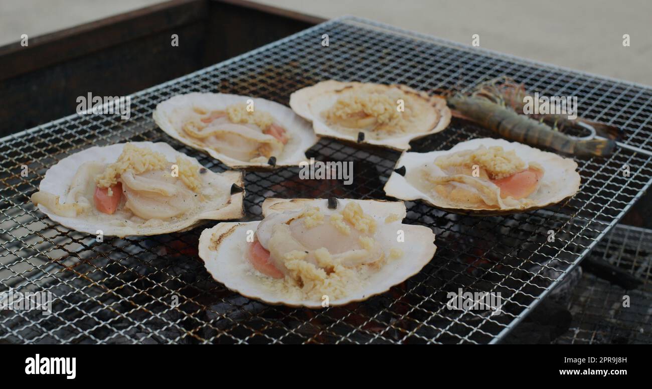 Scallop net hi-res stock photography and images - Alamy