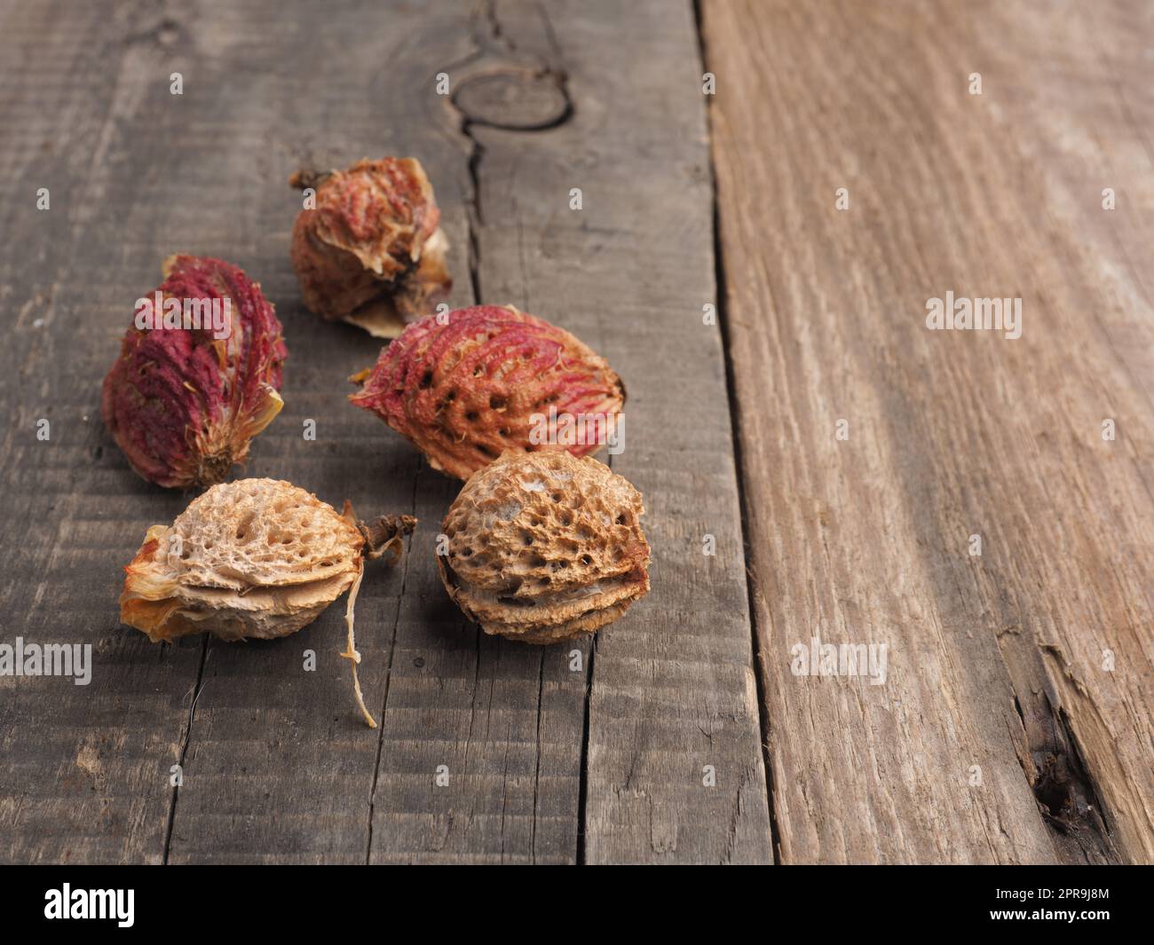 A variation of peach pits on a rustic garden table, agriculture concept ...