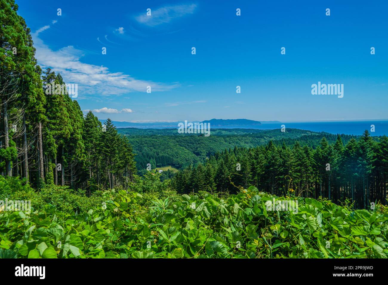 Landscape of Hakodate Mountain and Hokuto City Stock Photo - Alamy