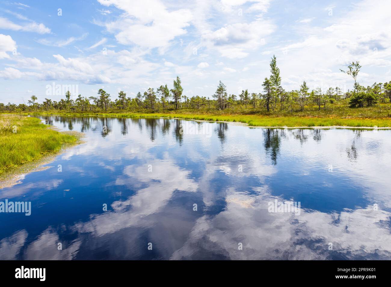 Great Kemeri Bog swamp at the Kemeri National Park in Latvia Stock ...