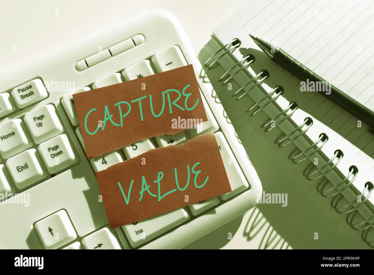 Text caption presenting Capture Value. Business concept Customer ... Text caption presenting Capture Value. Business concept Customer ...