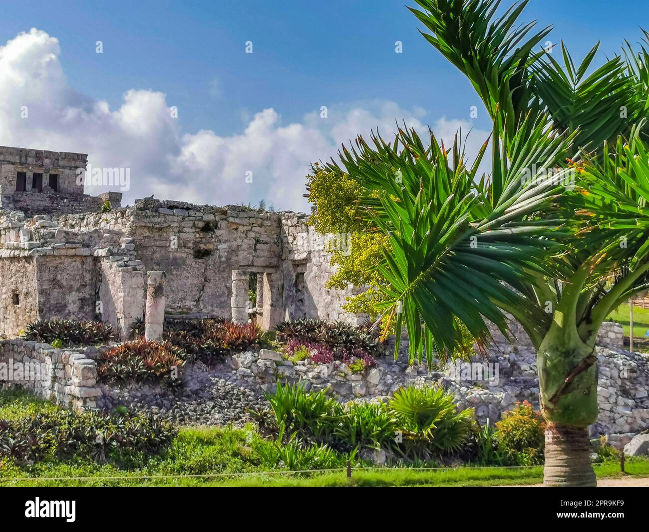 Ancient Tulum ruins Mayan site temple pyramids artifacts seascape ...