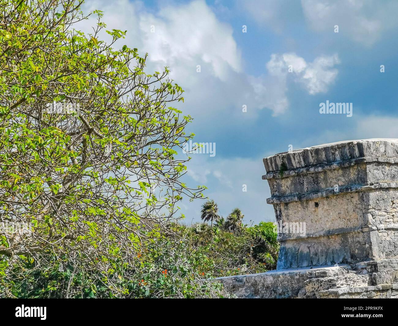 Ancient Tulum ruins Mayan site temple pyramids artifacts seascape ...