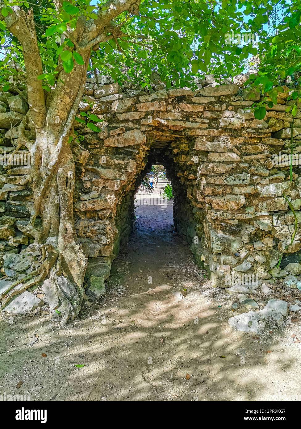 Ancient Tulum ruins Mayan site temple pyramids artifacts seascape ...
