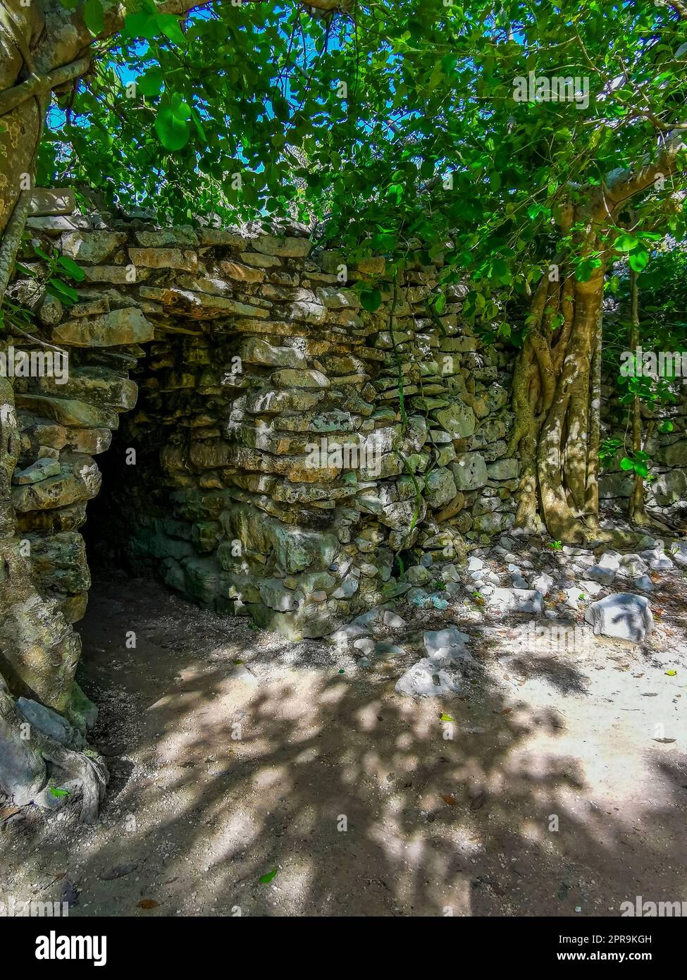 Ancient Tulum ruins Mayan site temple pyramids artifacts seascape ...