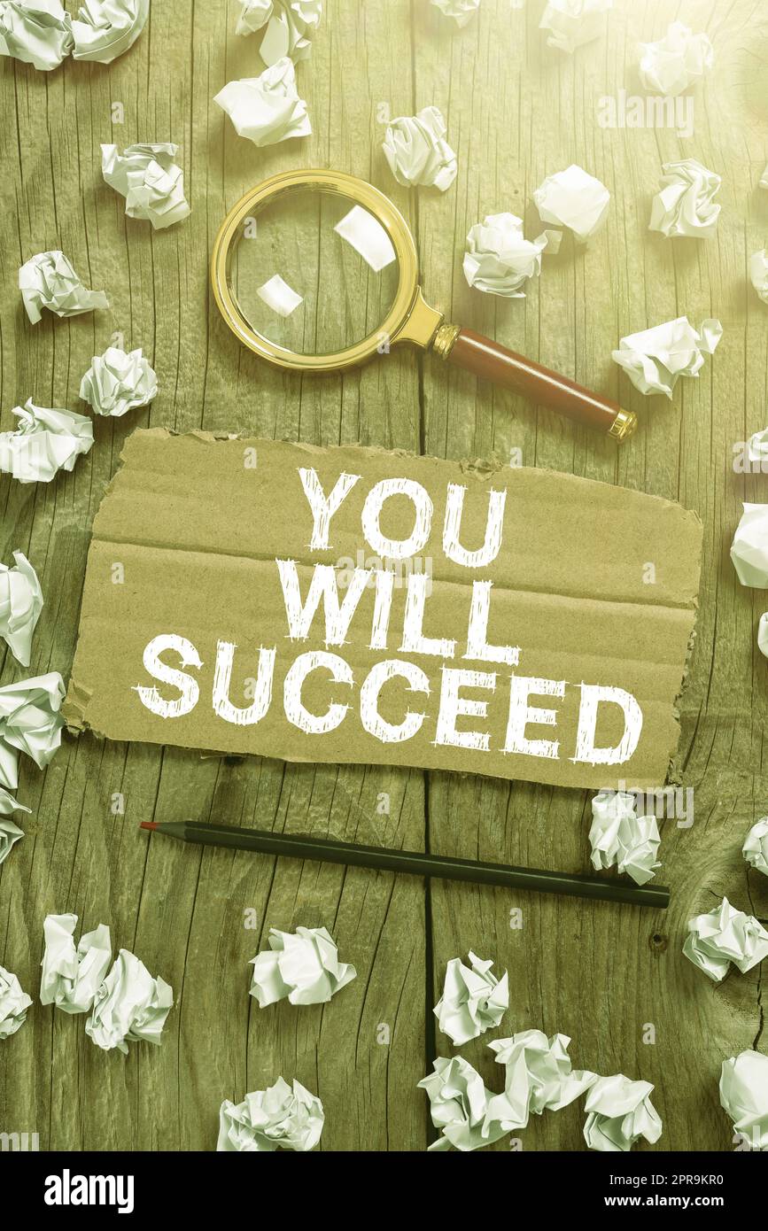 Sign displaying You Will Succeed. Word Written on Inspiration ...
