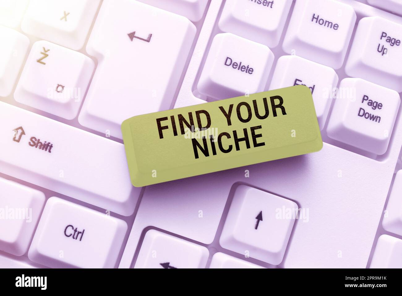 Text showing inspiration Find Your Niche. Internet Concept Market study ...