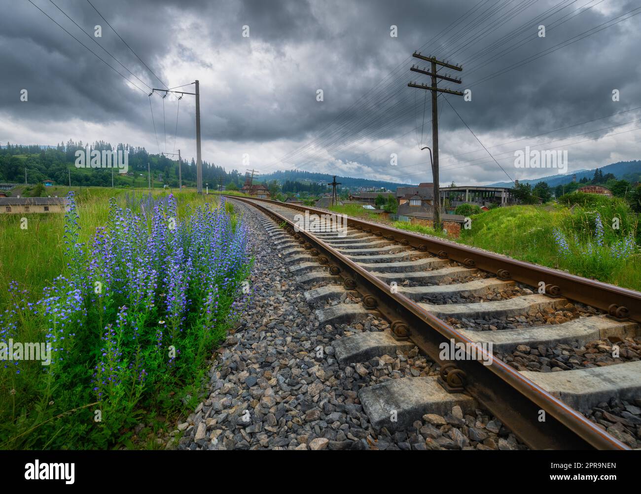 Rural railroad in mountains and blue flowers in overcast day Stock ...