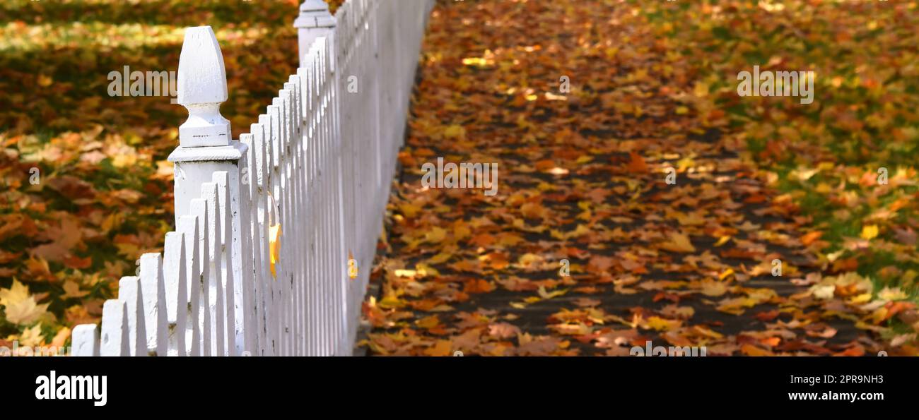 Background image shows white, rustic, picket fence surrounded by Autumn ...