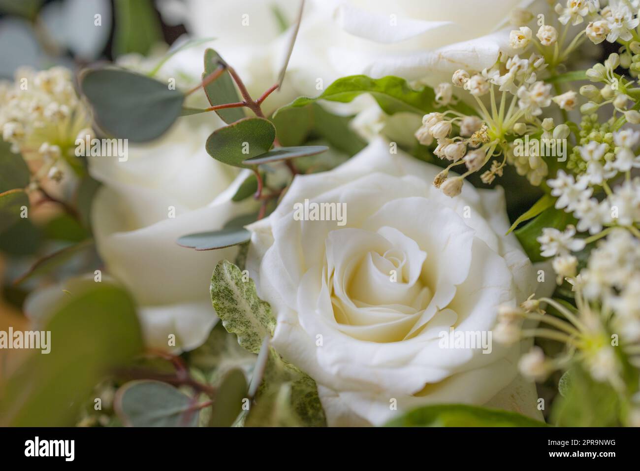 White flower bouquet close up Stock Photo - Alamy