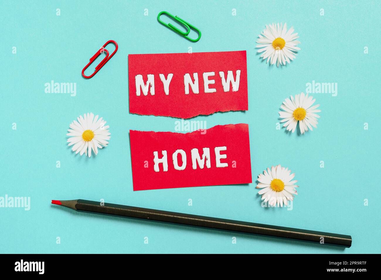 Conceptual display My New Home. Business overview Relocation moving to ... Conceptual display My New Home. Business overview Relocation moving to ...