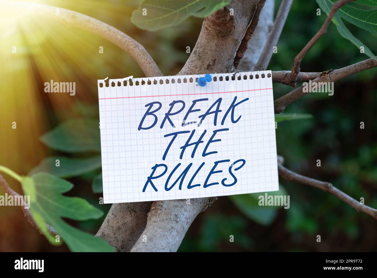 Rules of tree hi-res stock photography and images - Alamy