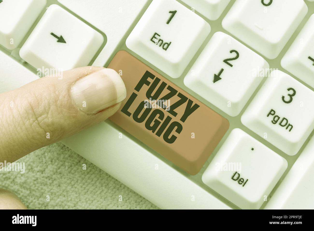 Conceptual display Fuzzy Logic. Concept meaning checks for extent of ...
