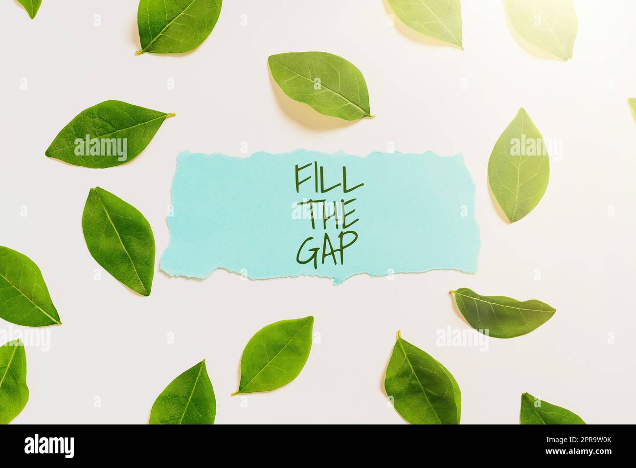 Writing displaying text Fill The Gap. Business overview Put he missing ... Writing displaying text Fill The Gap. Business overview Put he missing ...