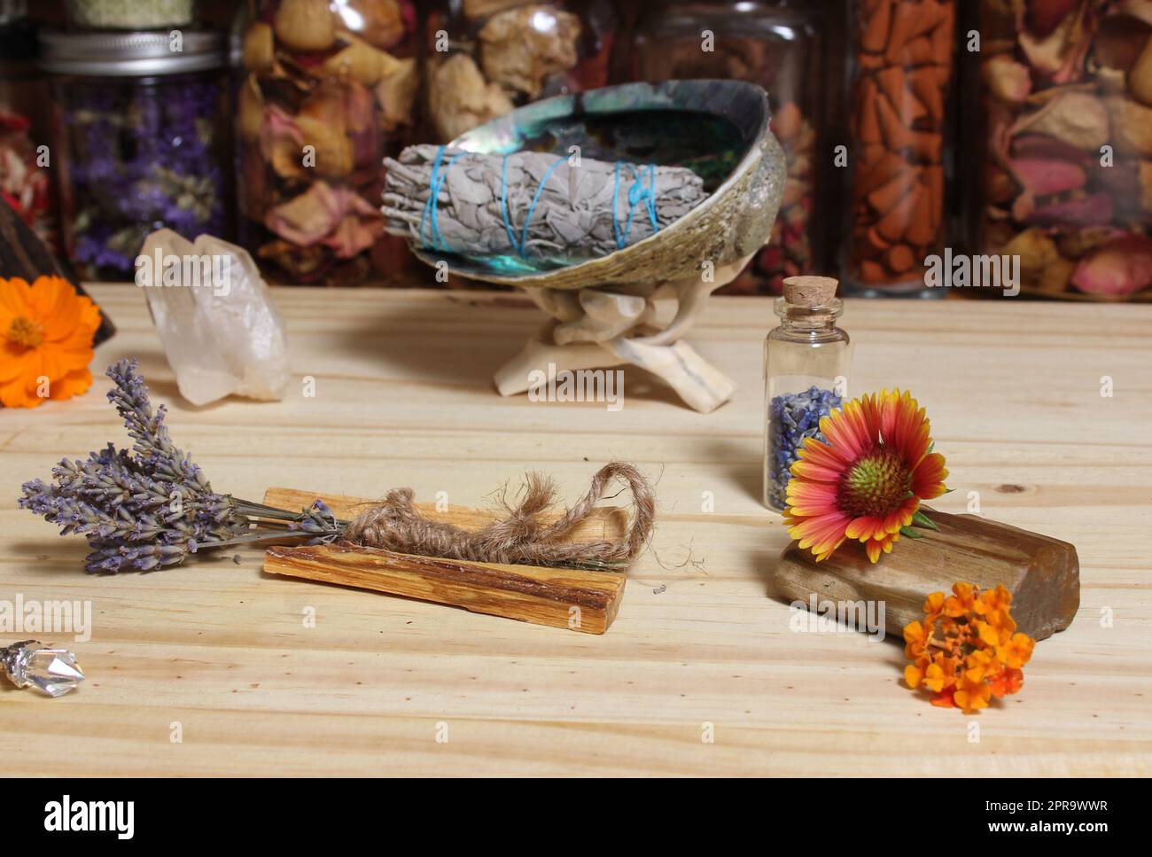 Dried Lavender With Palo Santo Wood and Abalone Shell For Smudging ...
