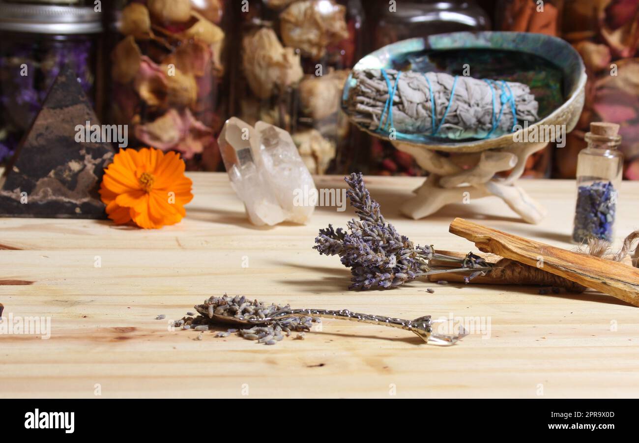 Dried Lavender With Palo Santo Wood and Abalone Shell For Smudging ...