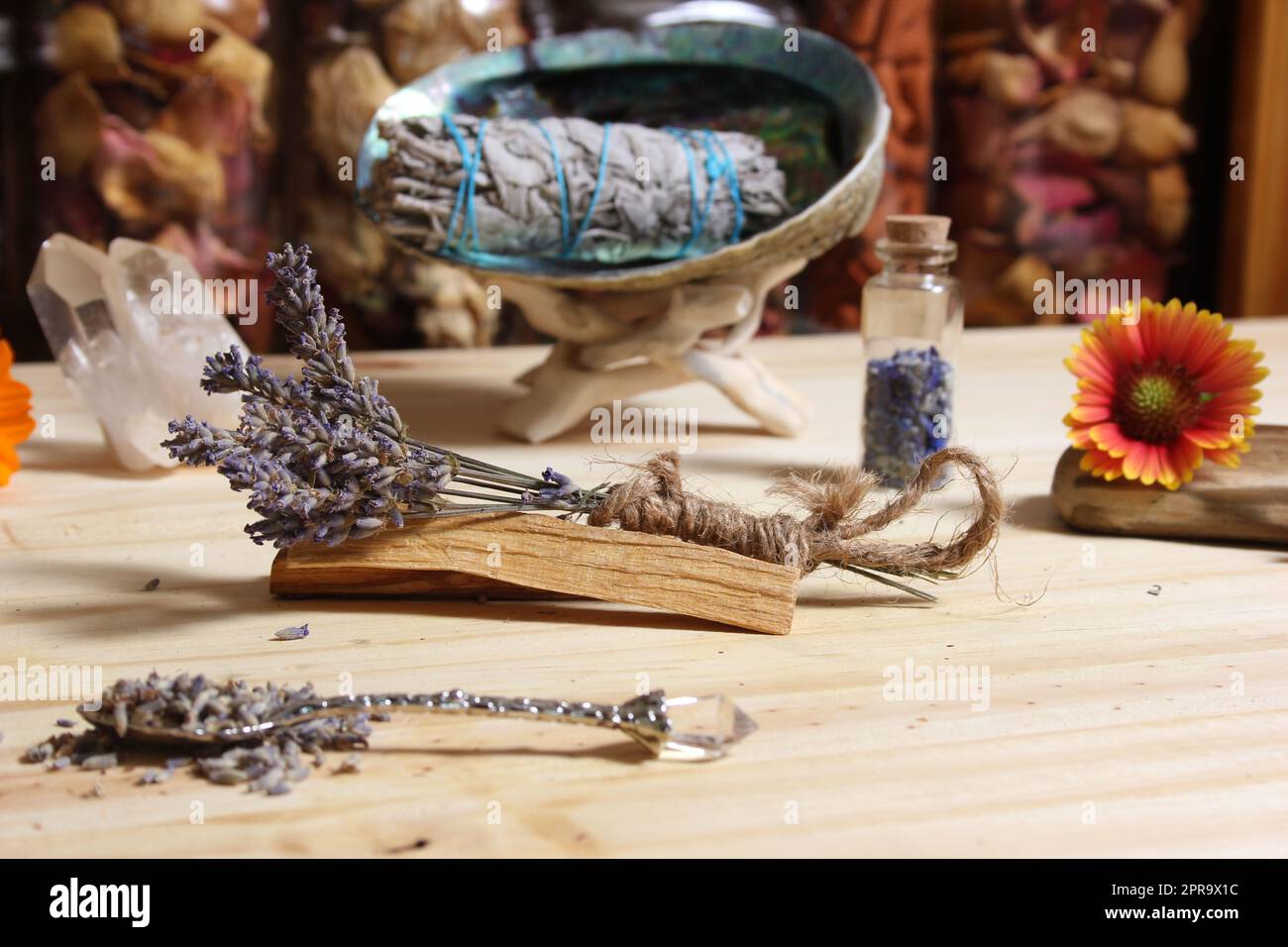 Dried Lavender With Palo Santo Wood and Abalone Shell For Smudging ...