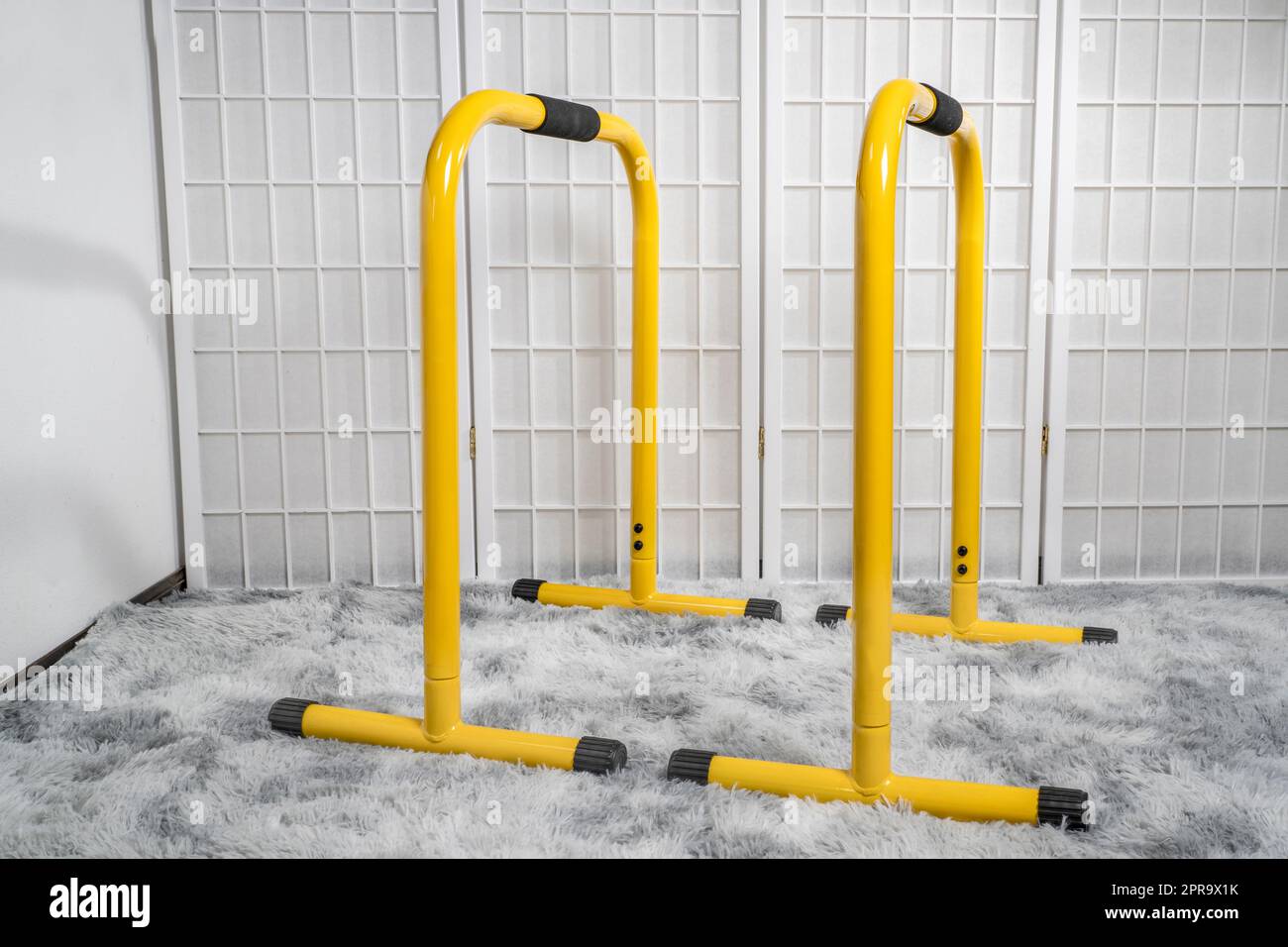 free-standing metal fitness bars in a home gym, fitness concept Stock ...