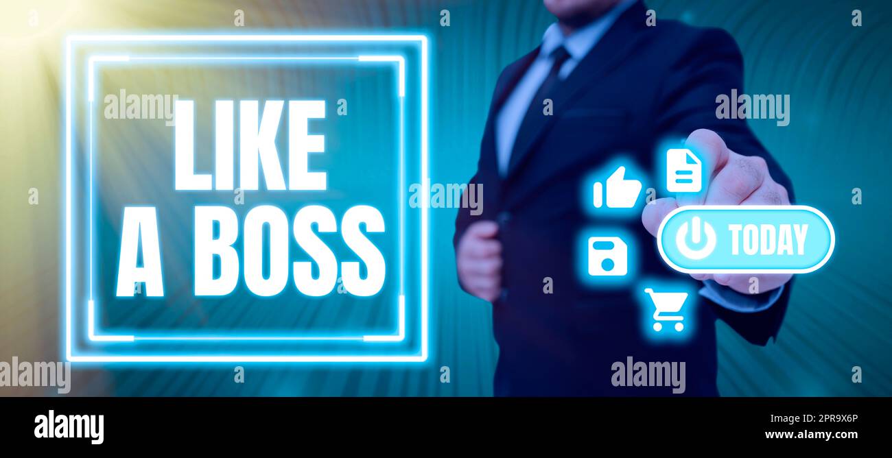 Like A Boss Facebook Cover