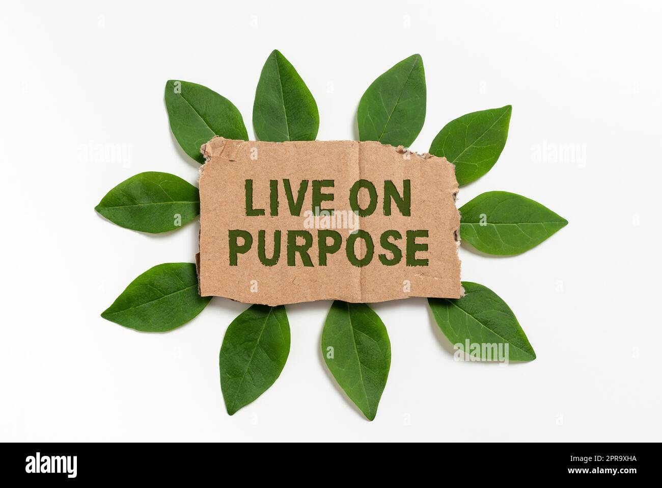 Sign displaying Live On Purpose. Word for Have a goal mission ...