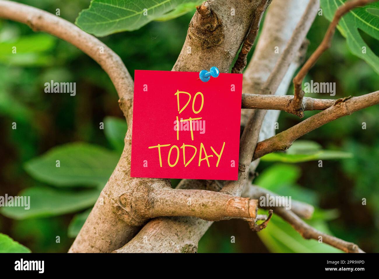 Text caption presenting Do It Today. Business concept Respond now ...