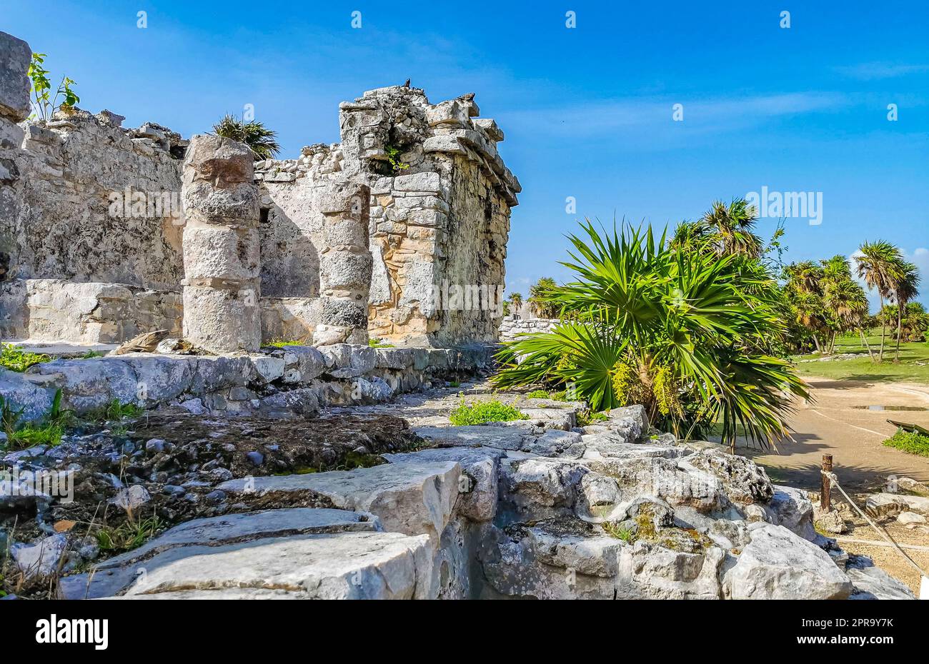 Ancient Tulum ruins Mayan site temple pyramids artifacts seascape ...