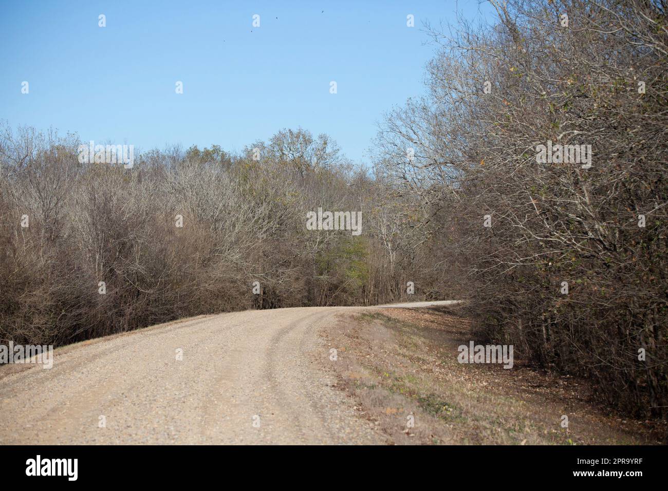 Beautiful winding gravel road hi-res stock photography and images - Alamy