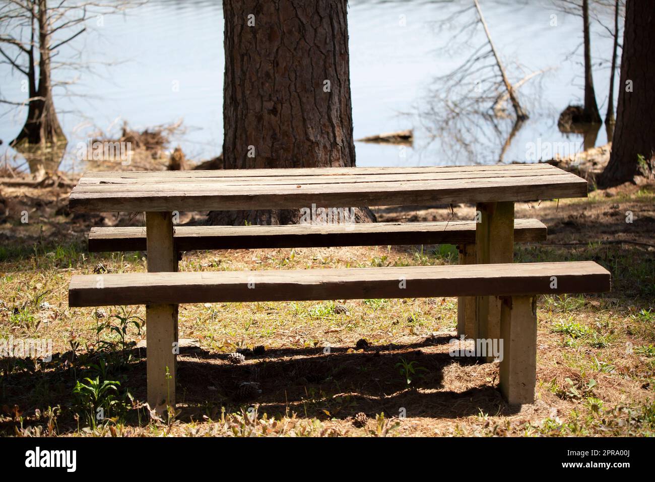 Large family dinner hi-res stock photography and images - Alamy