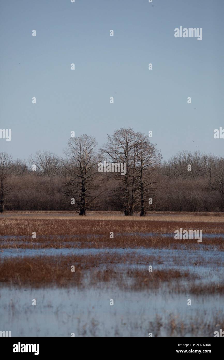 Earth brakes hi-res stock photography and images - Alamy