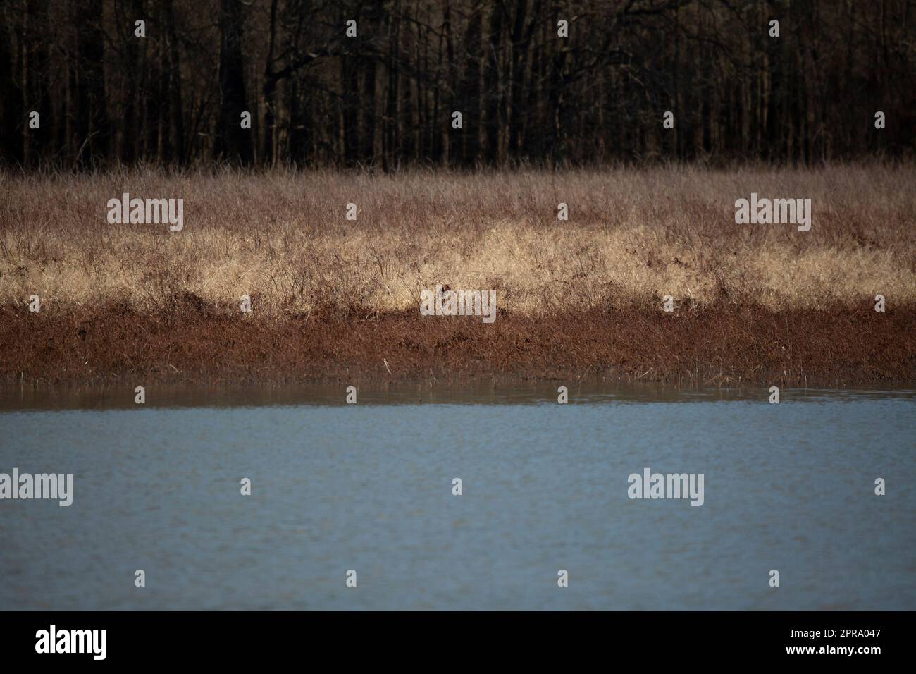 Waterway conservation hi-res stock photography and images - Alamy