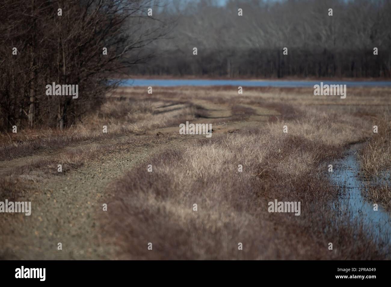 Waterway pathway hi-res stock photography and images - Alamy