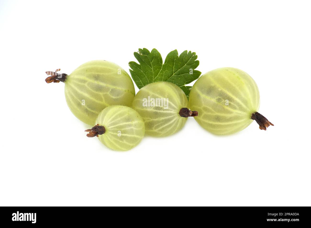 Ripe gooseberries over white background Stock Photo - Alamy