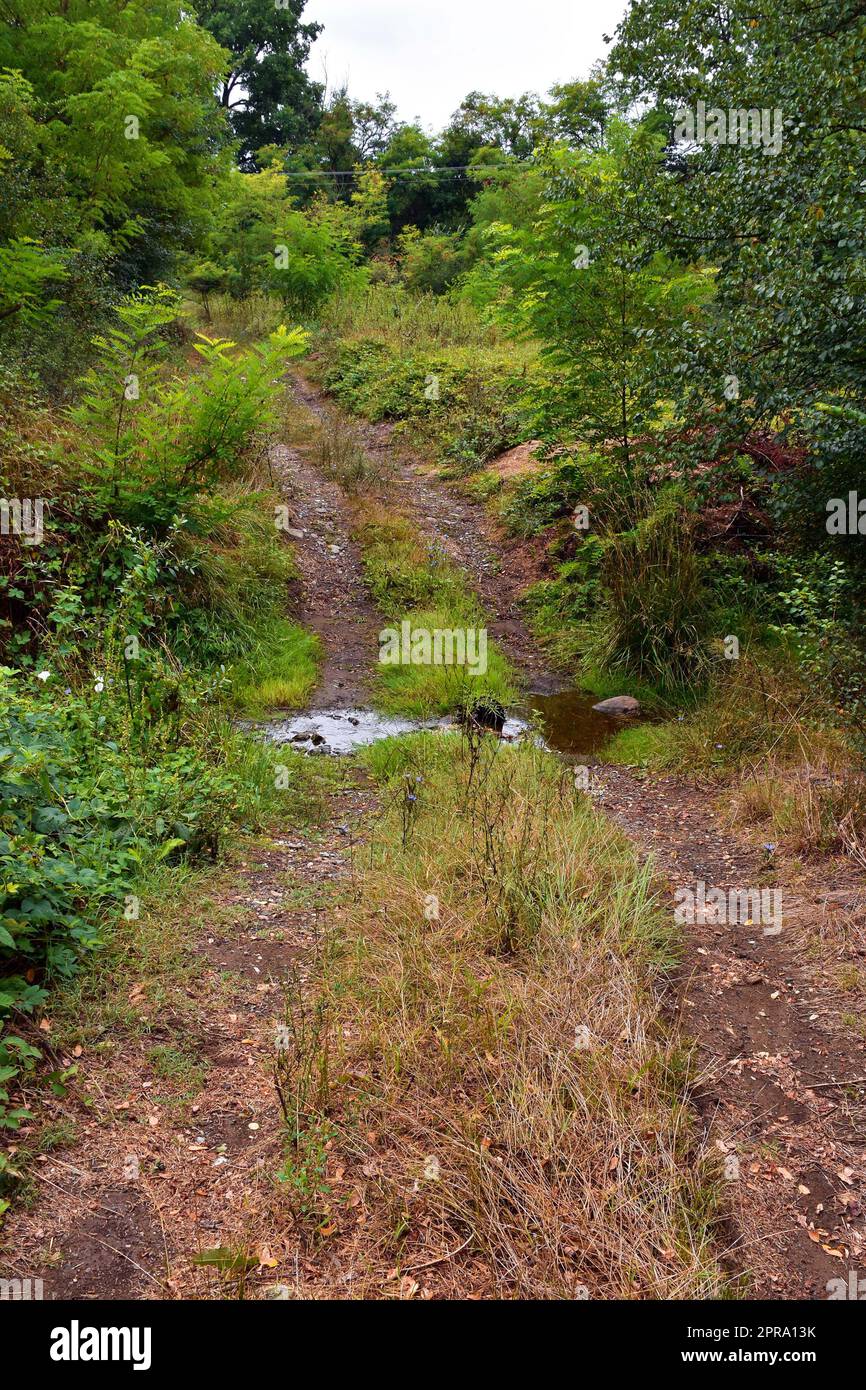 The winding path crosses the river and hills Stock Photo - Alamy