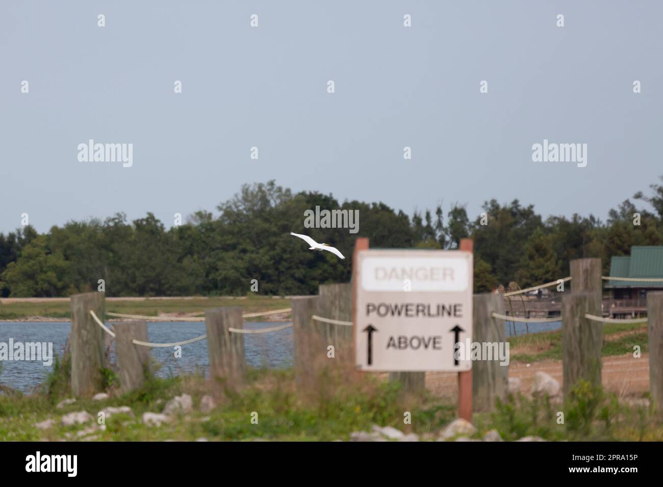 Egret shape hi-res stock photography and images - Alamy
