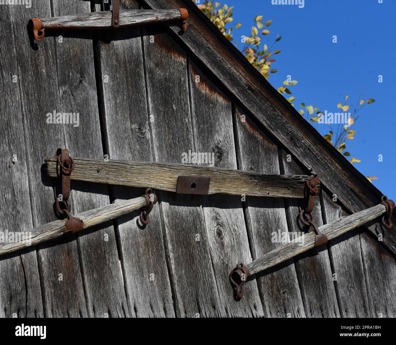 Eave of rustic, wooden barn is decorated with antique yokes. A double ...