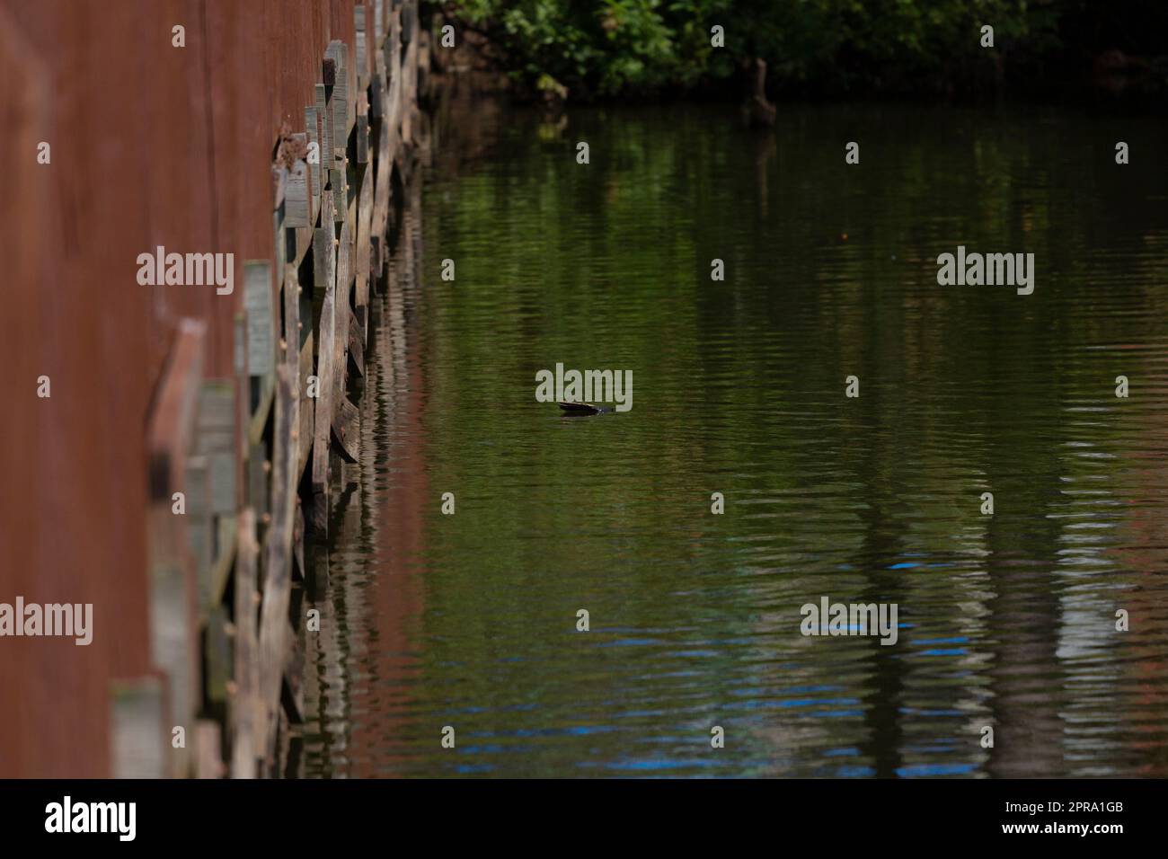 Murky view hi-res stock photography and images - Alamy