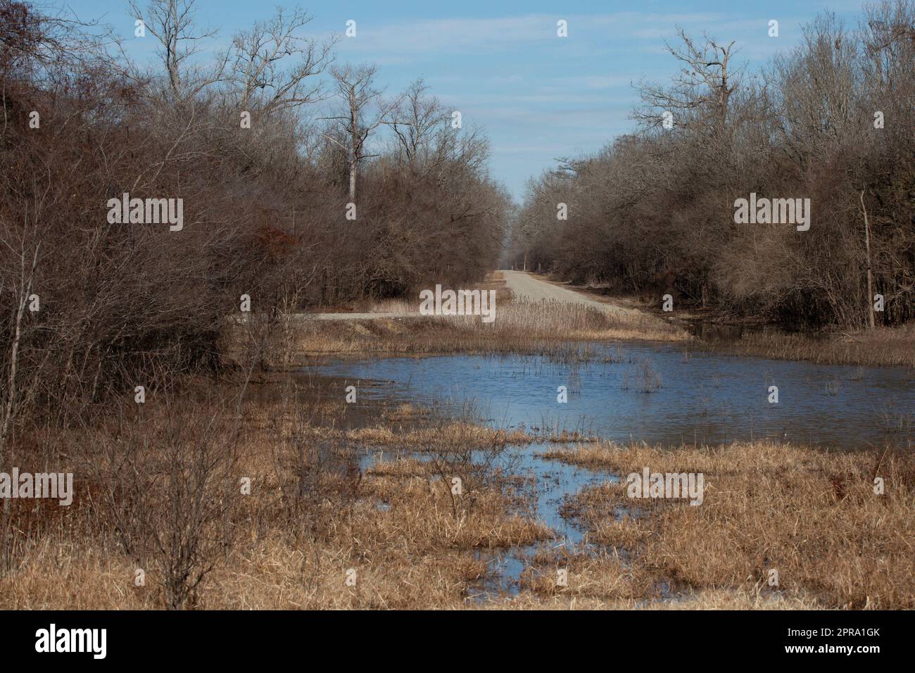 Marshland backdrop hi-res stock photography and images - Alamy