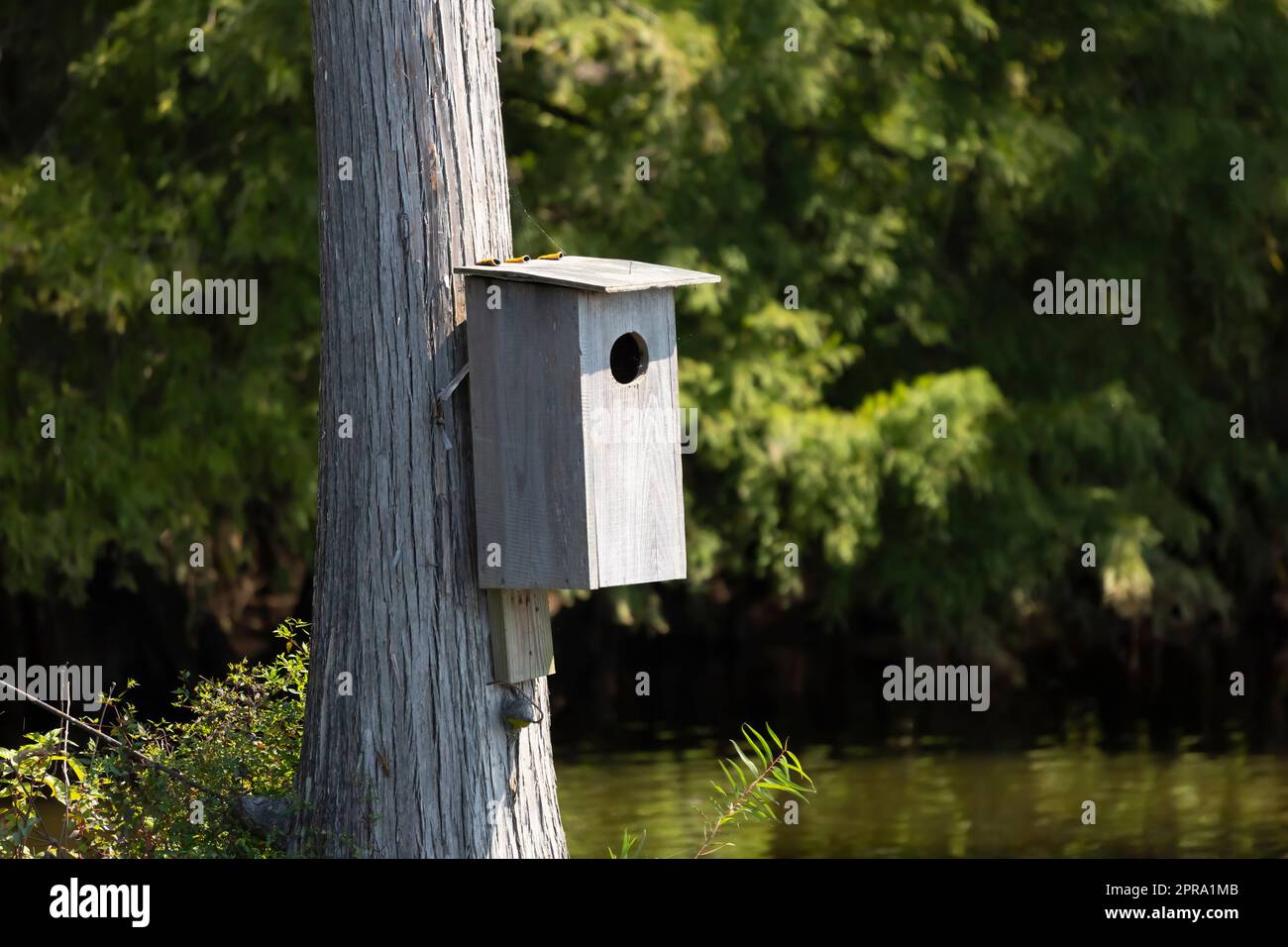 Wood Duck Nesting Box Stock Photo - Alamy