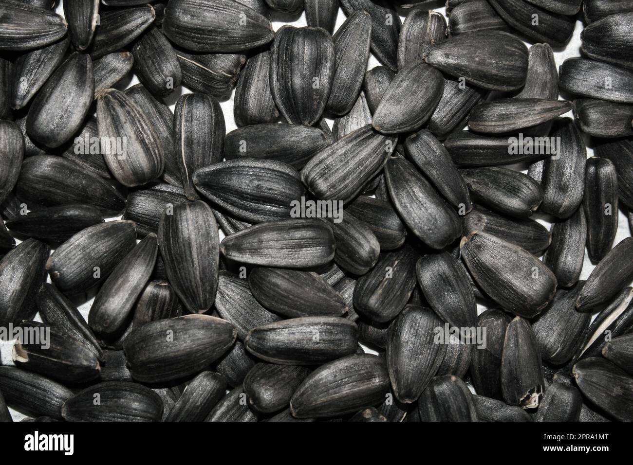 Black sunflower seeds close up. Background. The concept of agriculture, food, healthy lifestyle ...