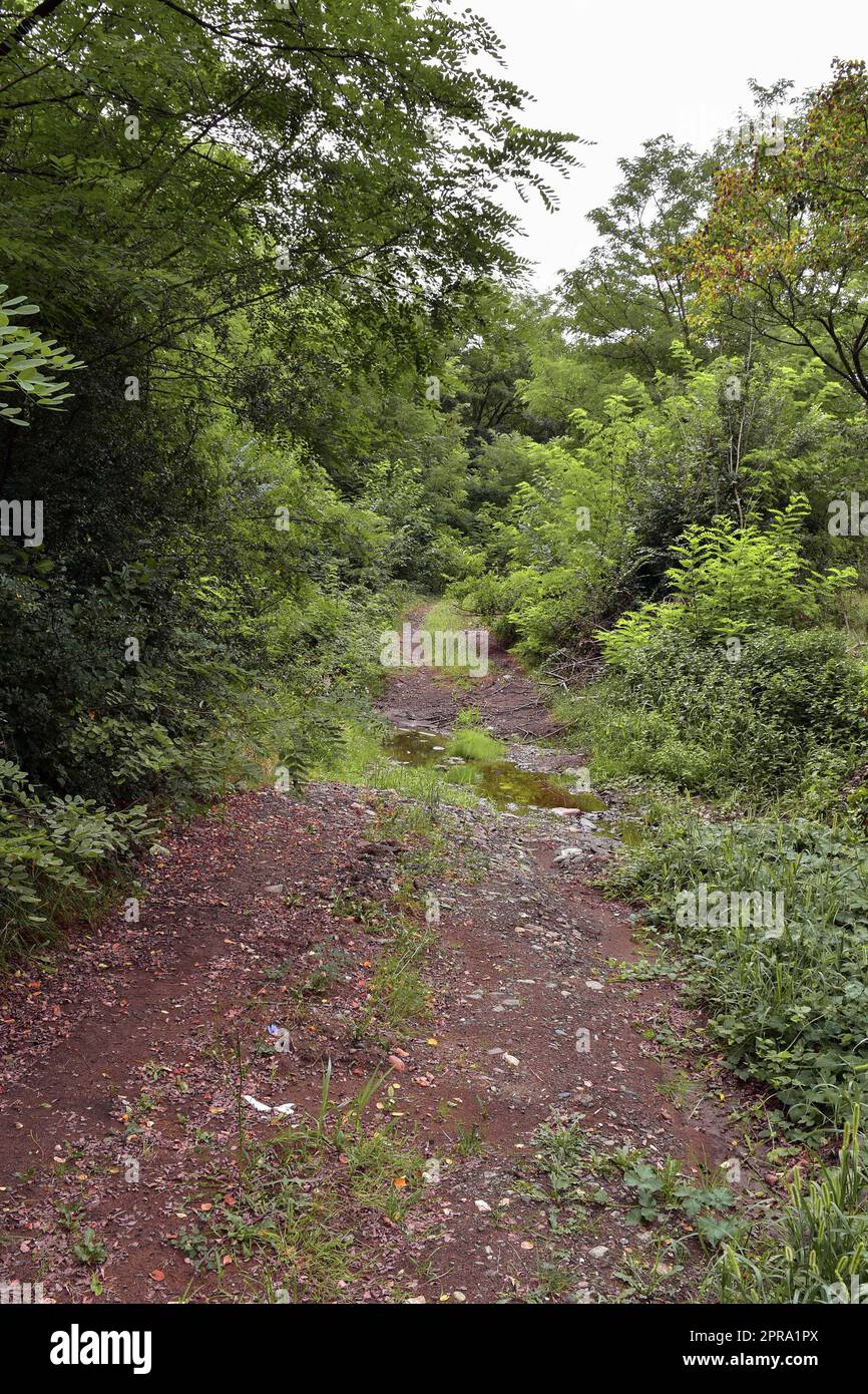 The country road crosses a stream - a small river Stock Photo - Alamy