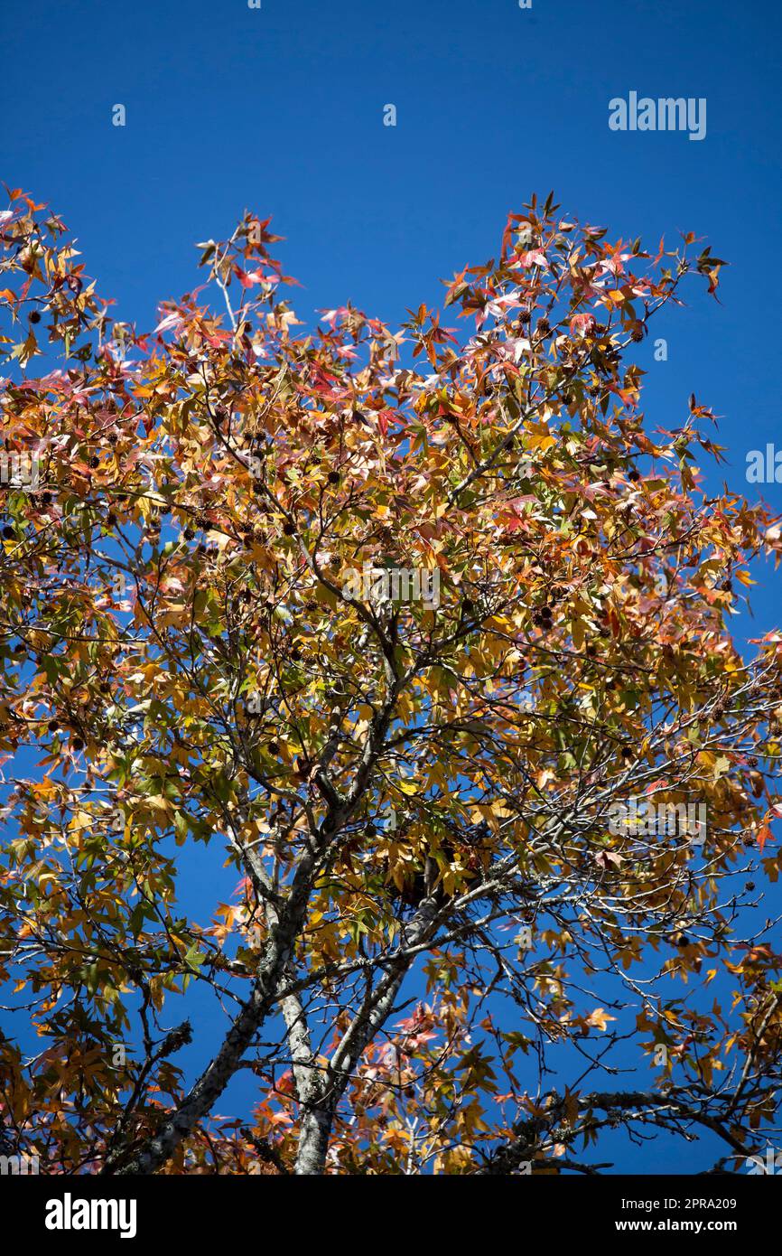 Changing scenery hi-res stock photography and images - Alamy