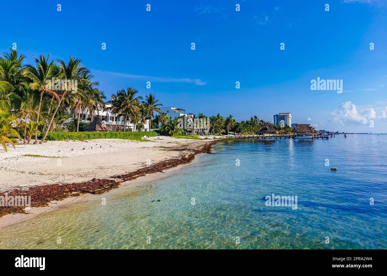 Playa Azul beach palm seascape panorama in Cancun Mexico Stock Photo ...