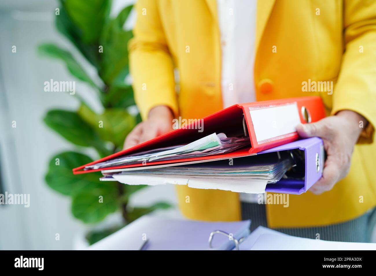 Busy woman working office hi-res stock photography and images - Alamy