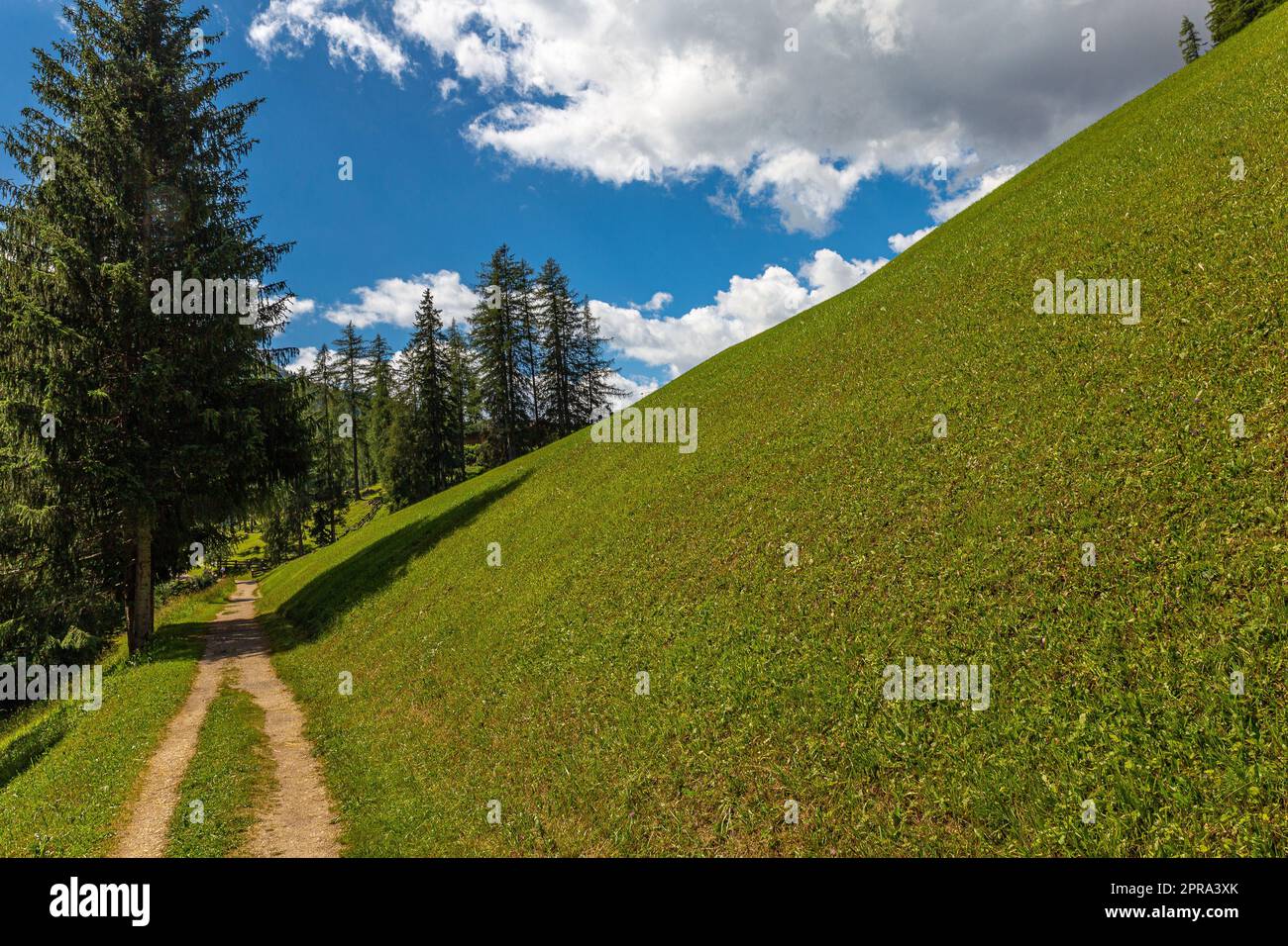 Alta badia italy summer hi-res stock photography and images - Alamy