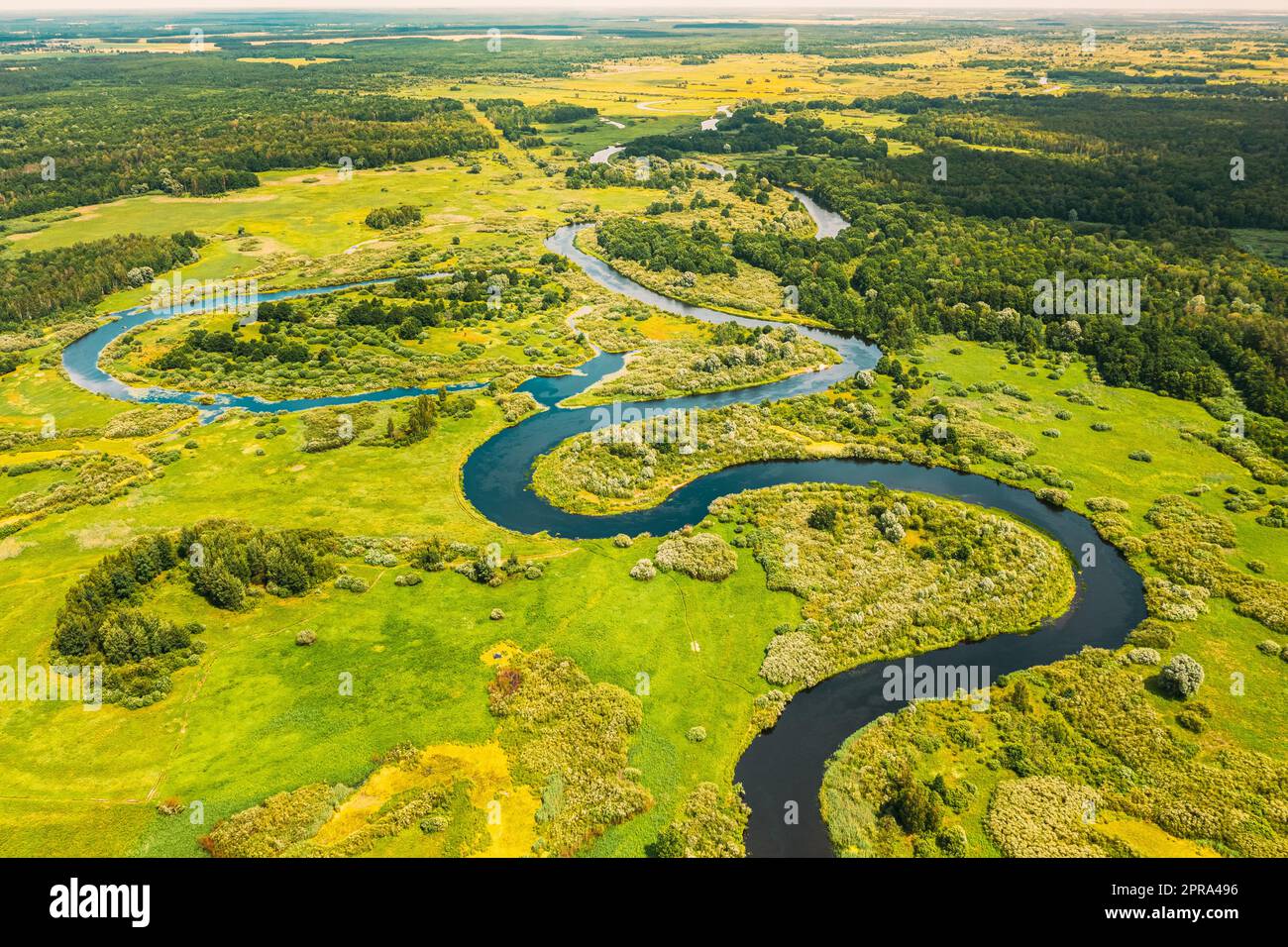 Aerial View Green Forest Woods And River Landscape In Sunny Spring ...