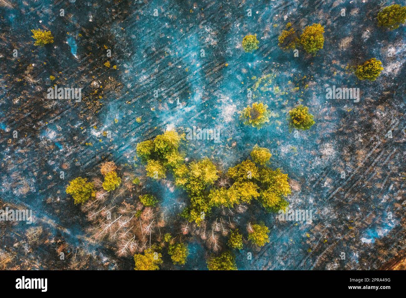 Aerial View. Spring Dry Grass Burns During Drought Hot Weather. Bush ...